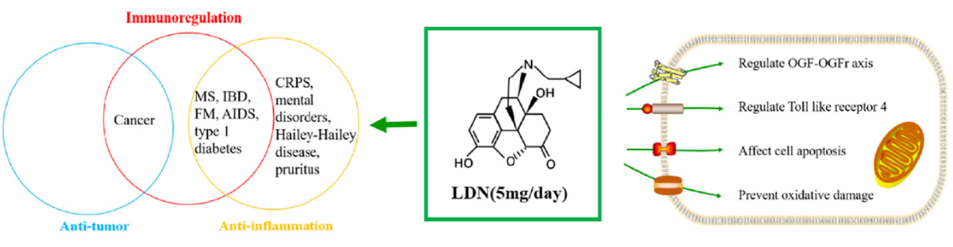 What is LDN? - Low Dose Naltrexone | AgelessRx