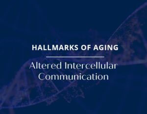 Hallmarks of Aging: Altered Intercellular Communication | AgelessRx